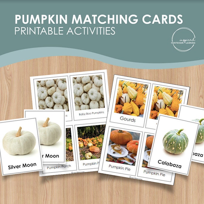 Pumpkin Matching Cards, Preschool Matching Cards, Montessori Matching ...