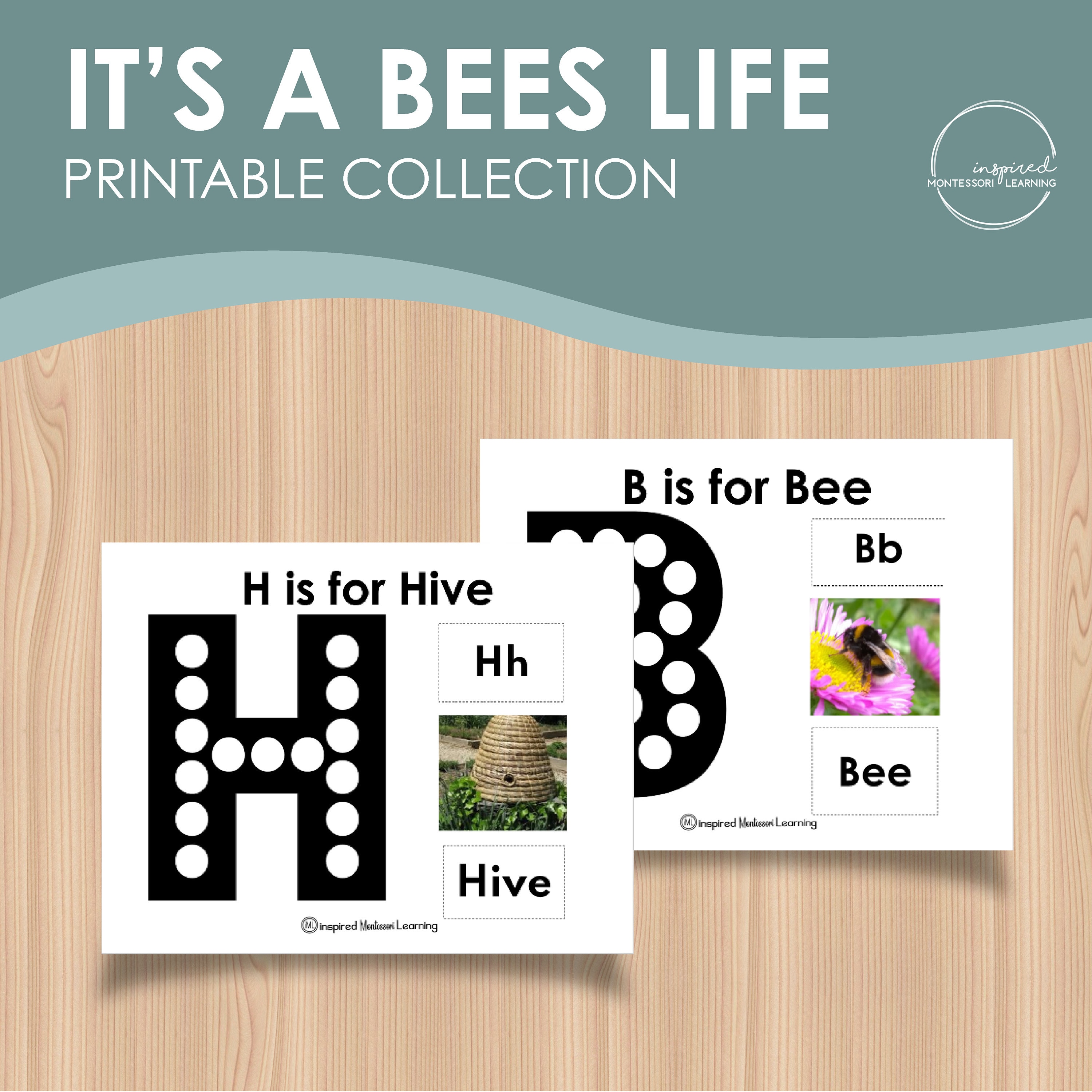 Honey Bee Printable Activity, Toddler Activity, Lesson Plan, Homeschool ...