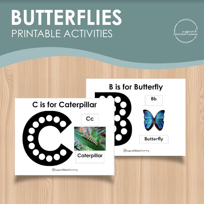 Butterfly Printable Activity, Kindergarten Science, Homeschool ...