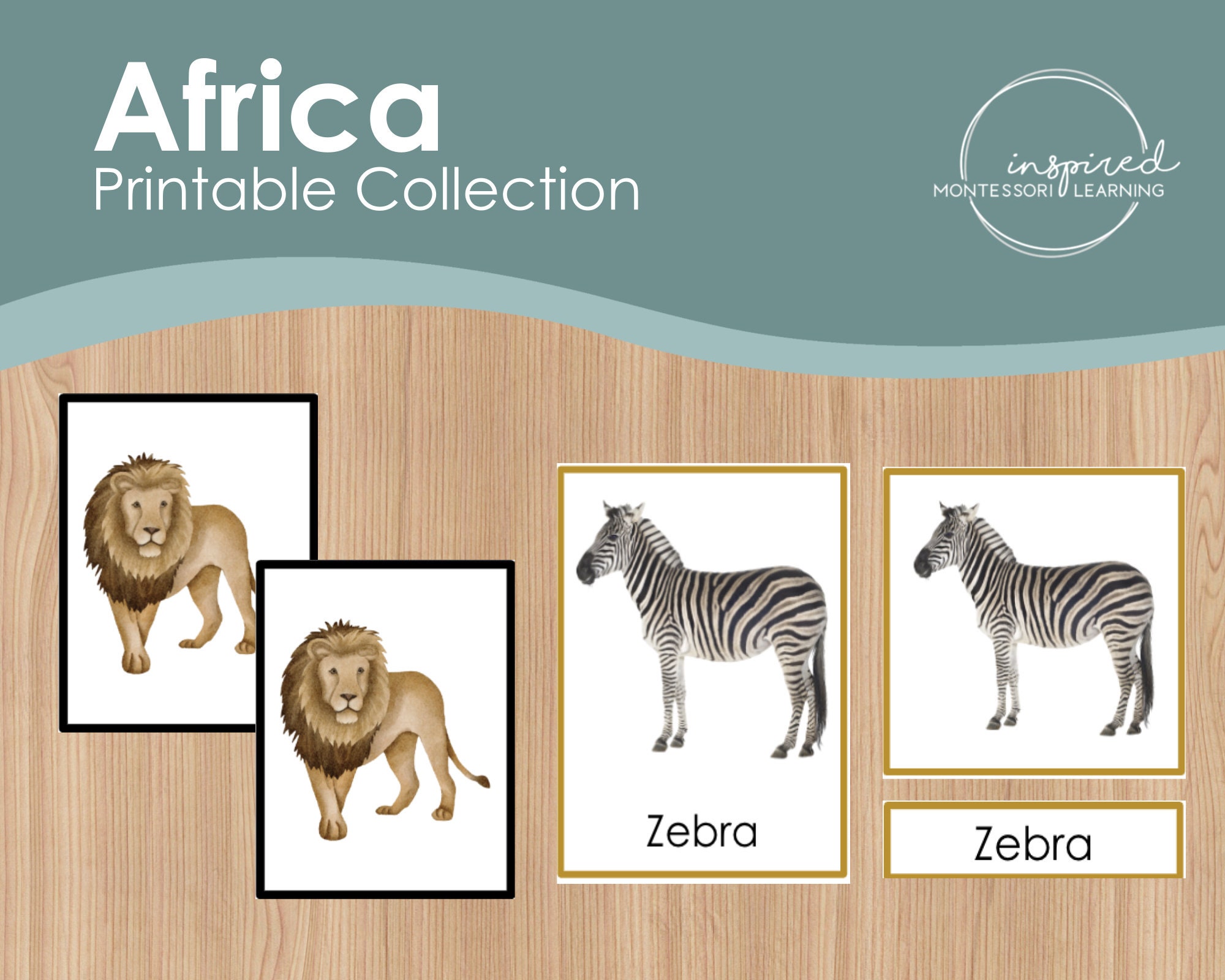 Africa Continent Study, African Animal Matching, Tracing Words and ...