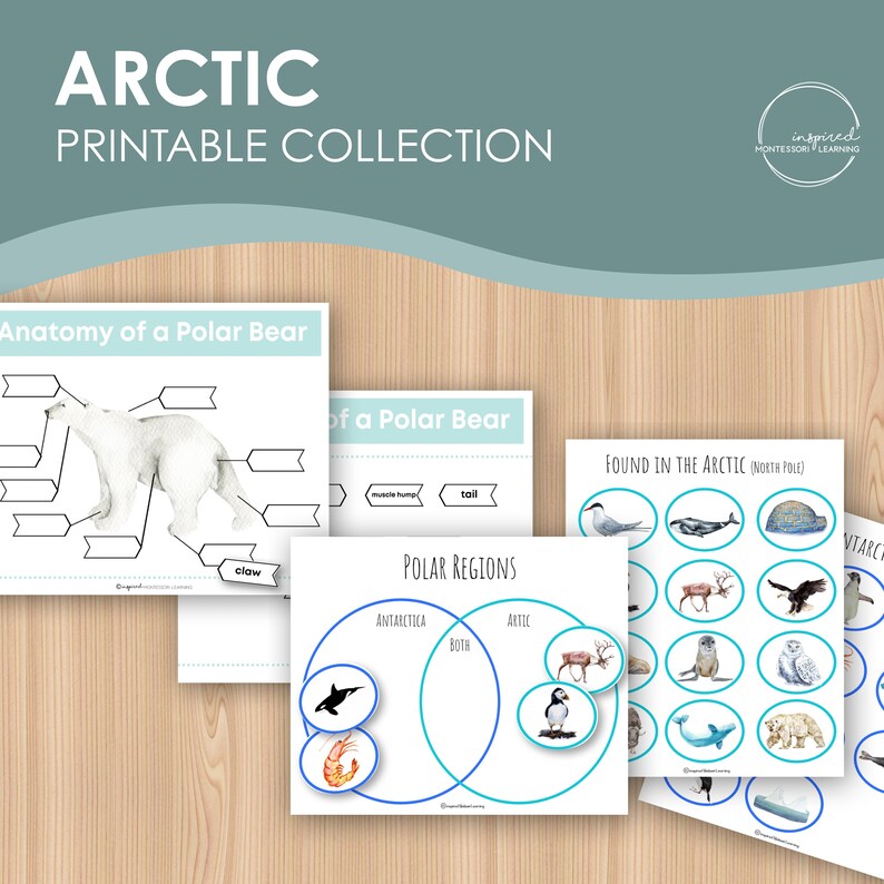 Arctic Printable Collection, Winter Printable, Winter Kids Crafts ...
