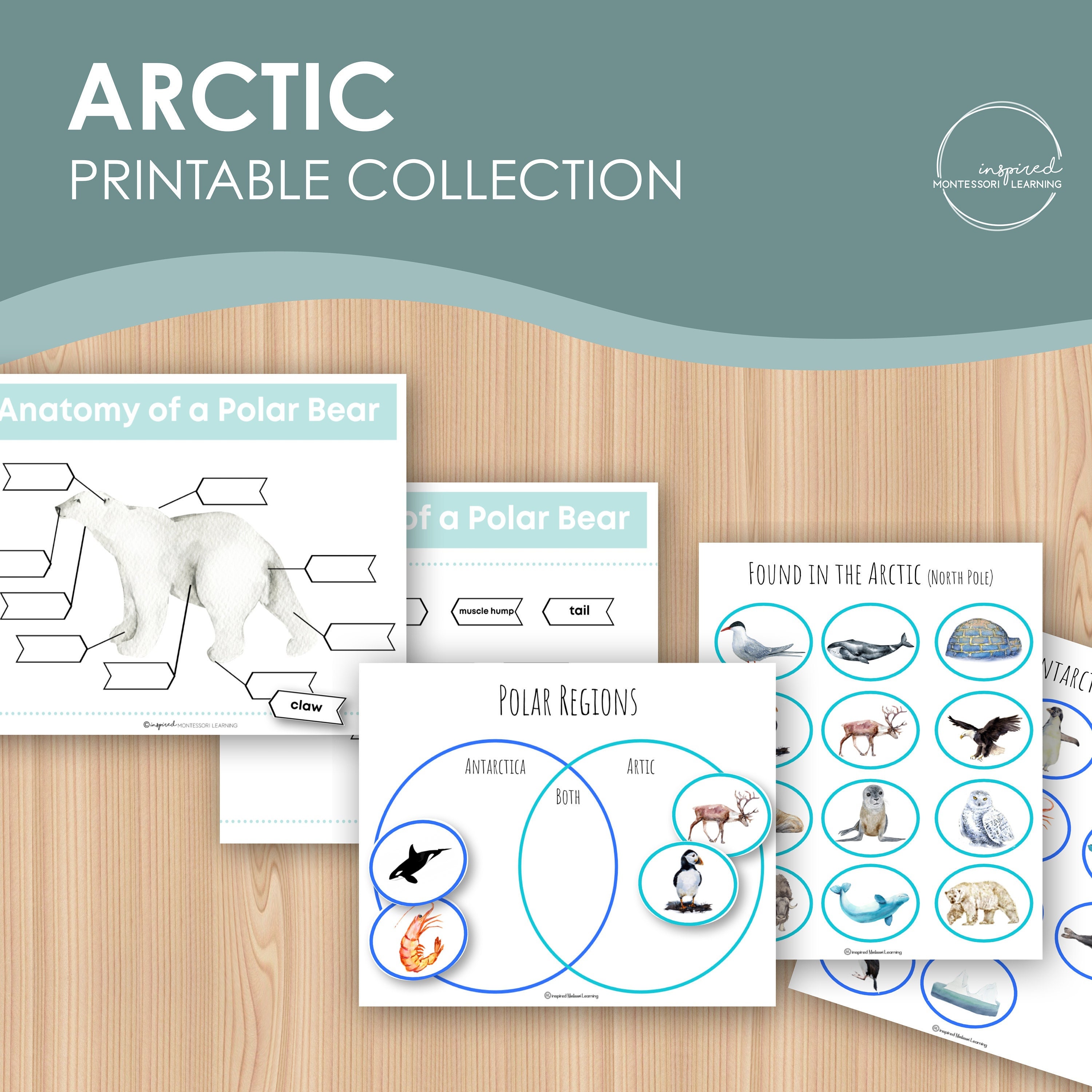 Arctic Printable Collection, Winter Printable, Winter Kids Crafts ...