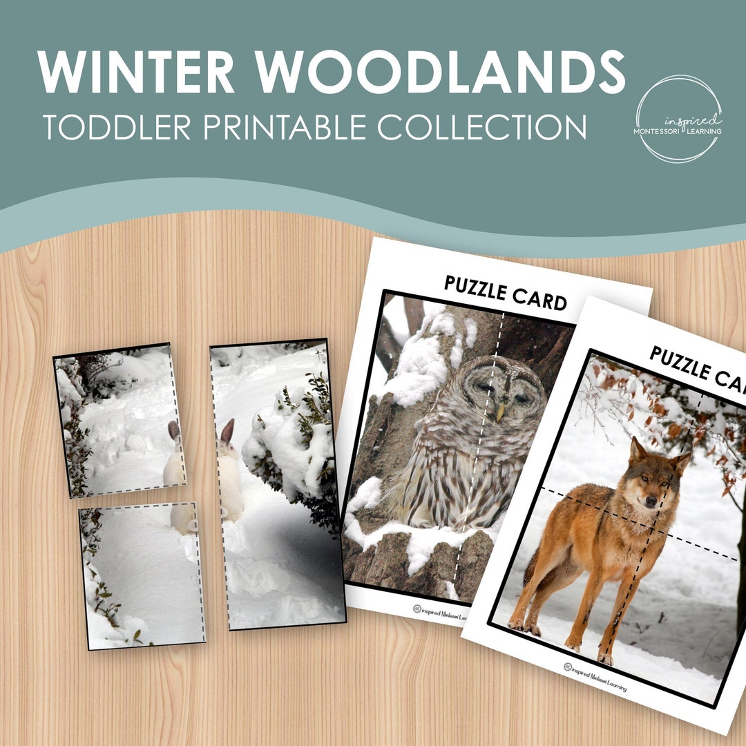 Winter Woodland Toddler Mini Printable Collection, Toddler Activity ...