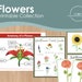 Flower Printable Activity, Preschool Activity, Kindergarten Printable ...