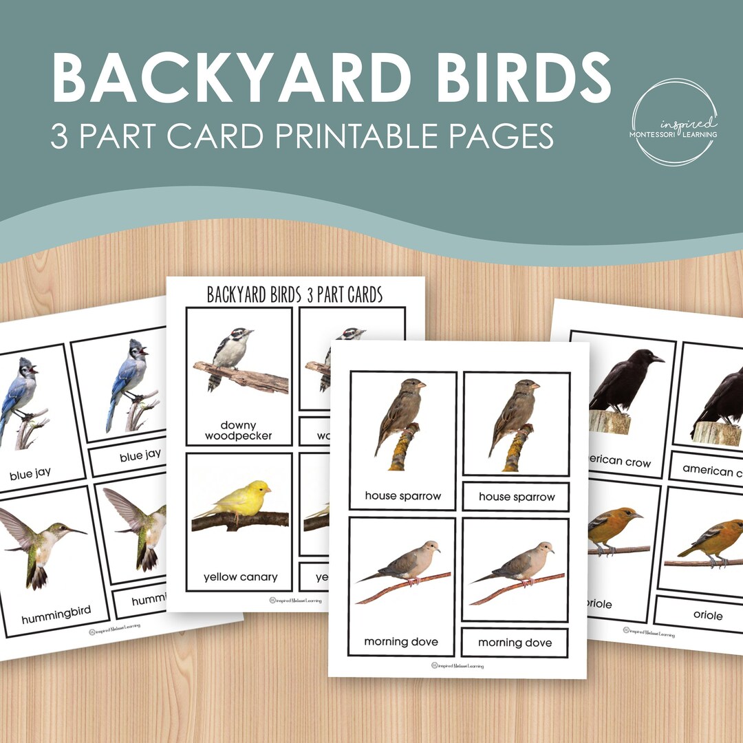 Backyard Birds 3-part Matching Cards, Montessori Inspired 3-part Cards ...
