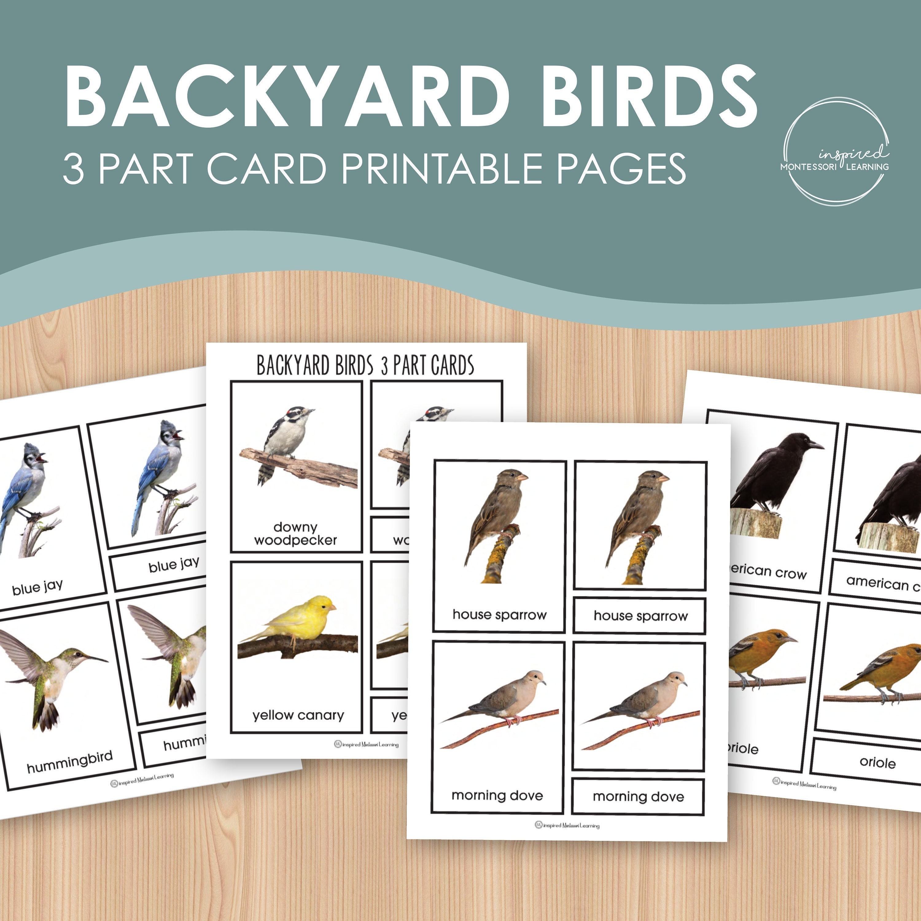 Backyard Birds 3-part Matching Cards, Montessori Inspired 3-part Cards ...