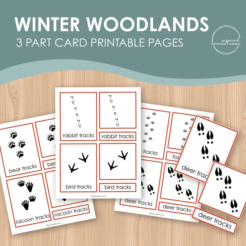 Winter Woodland 3-part Cards, Montessori Inspired Flash Cards, Matching ...