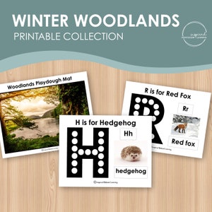 Winter Woodland Printable Collection, Preschool Winter Activity ...