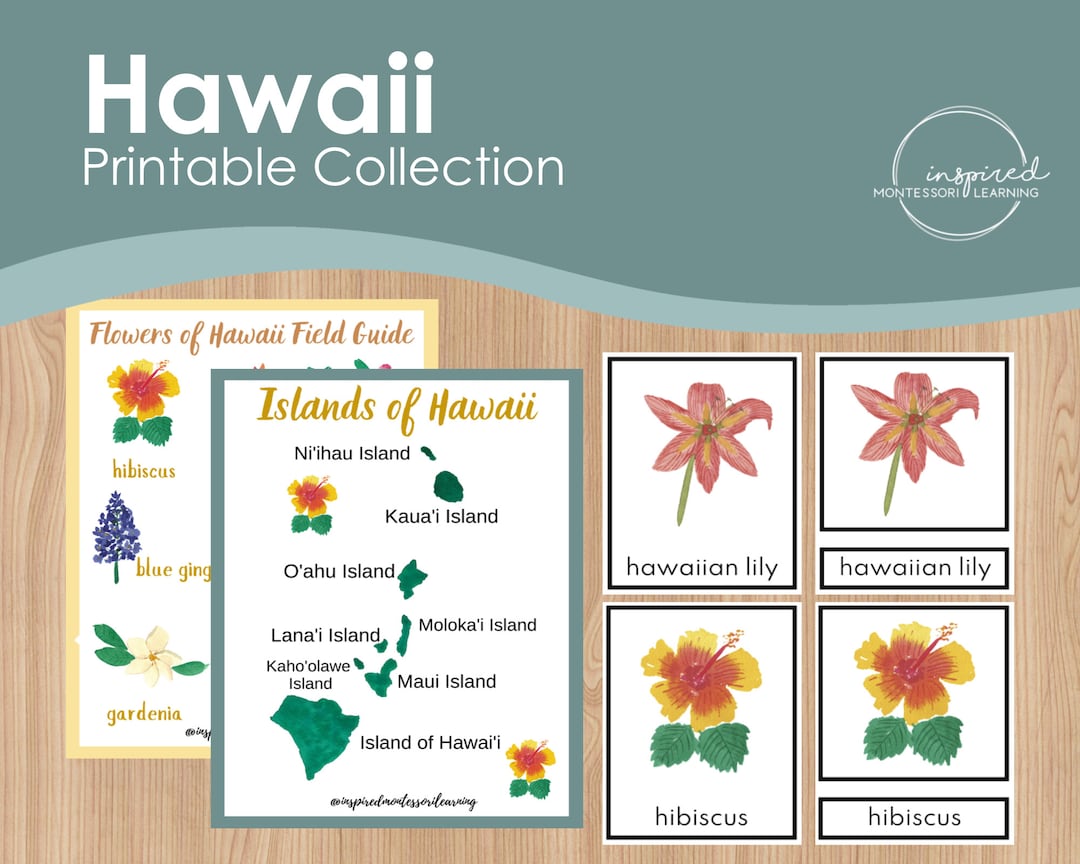 Hawaii Flowers & Map Printable Activity, Flower 3 Part Cards, Tropical ...