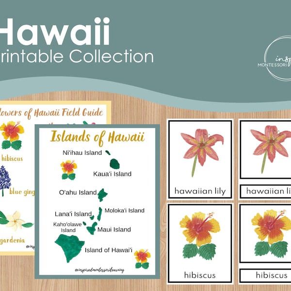Map of Hawaii - Etsy