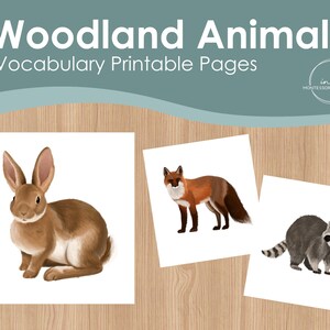 Winter Woodland Animals Vocabulary Cards, Montessori Inspired ...