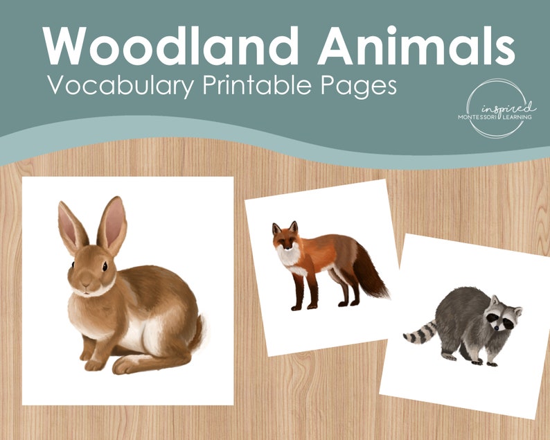Winter Woodland Animals Vocabulary Cards, Montessori Inspired ...