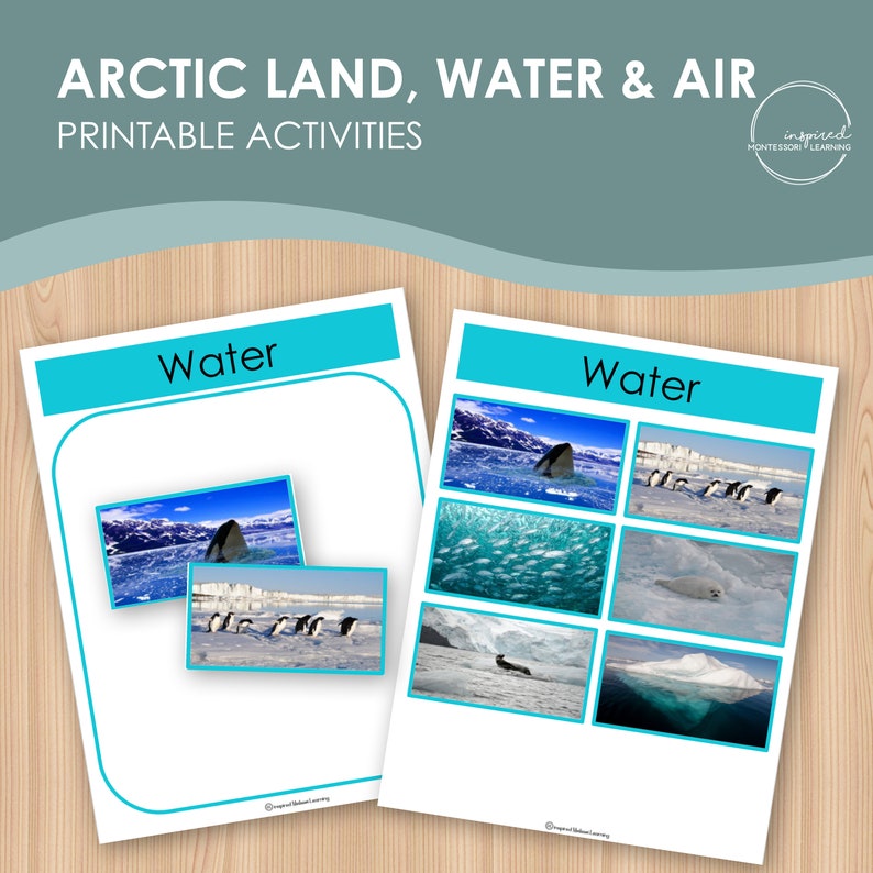 Arctic Regions Land, Air, and Water Printable Activity, Montessori ...