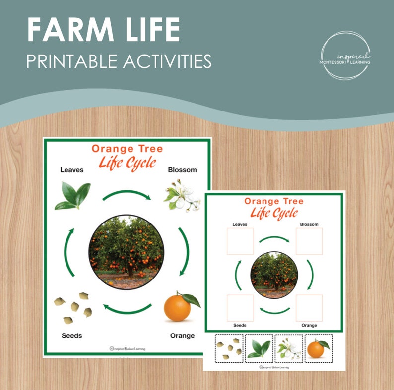 Farm Animal Printable Unit, Preschool Printable, Kindergarten Printable ...