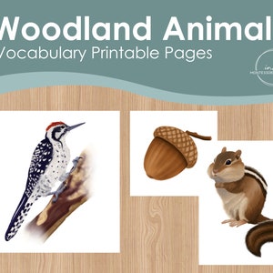 Winter Woodland Animals Vocabulary Cards, Montessori Inspired ...