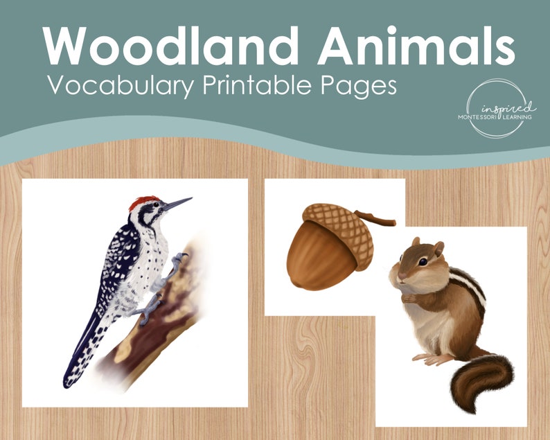 Winter Woodland Animals Vocabulary Cards, Montessori Inspired ...