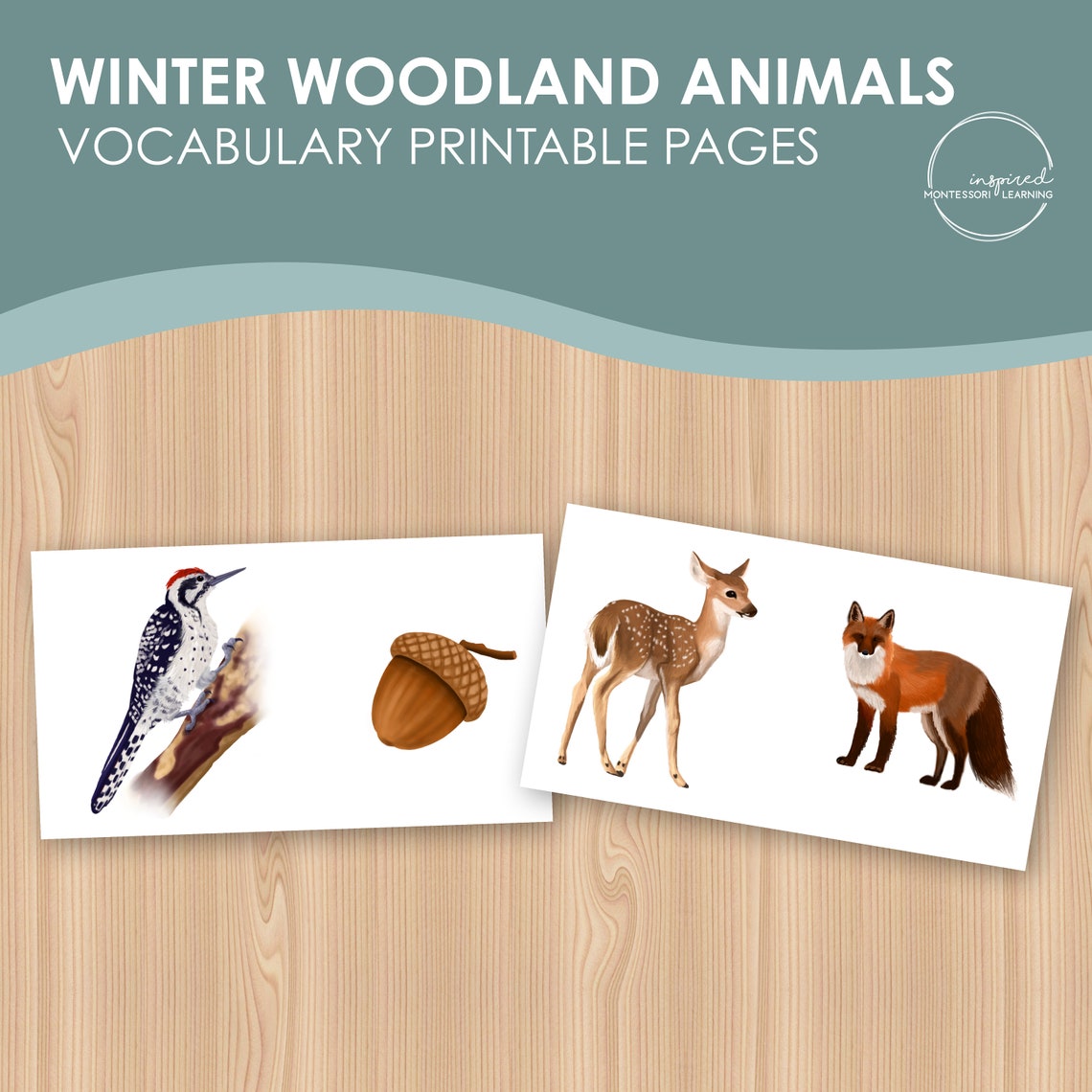 Winter Woodland Animals Vocabulary Cards Montessori Inspired - Etsy
