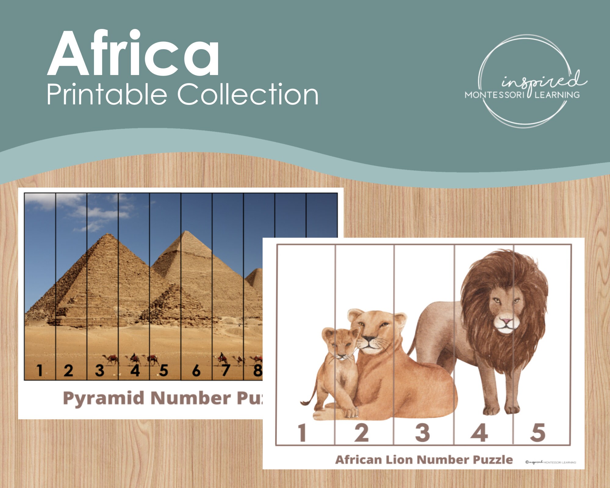 Africa Continent Study, African Animal Matching, Tracing Words and ...