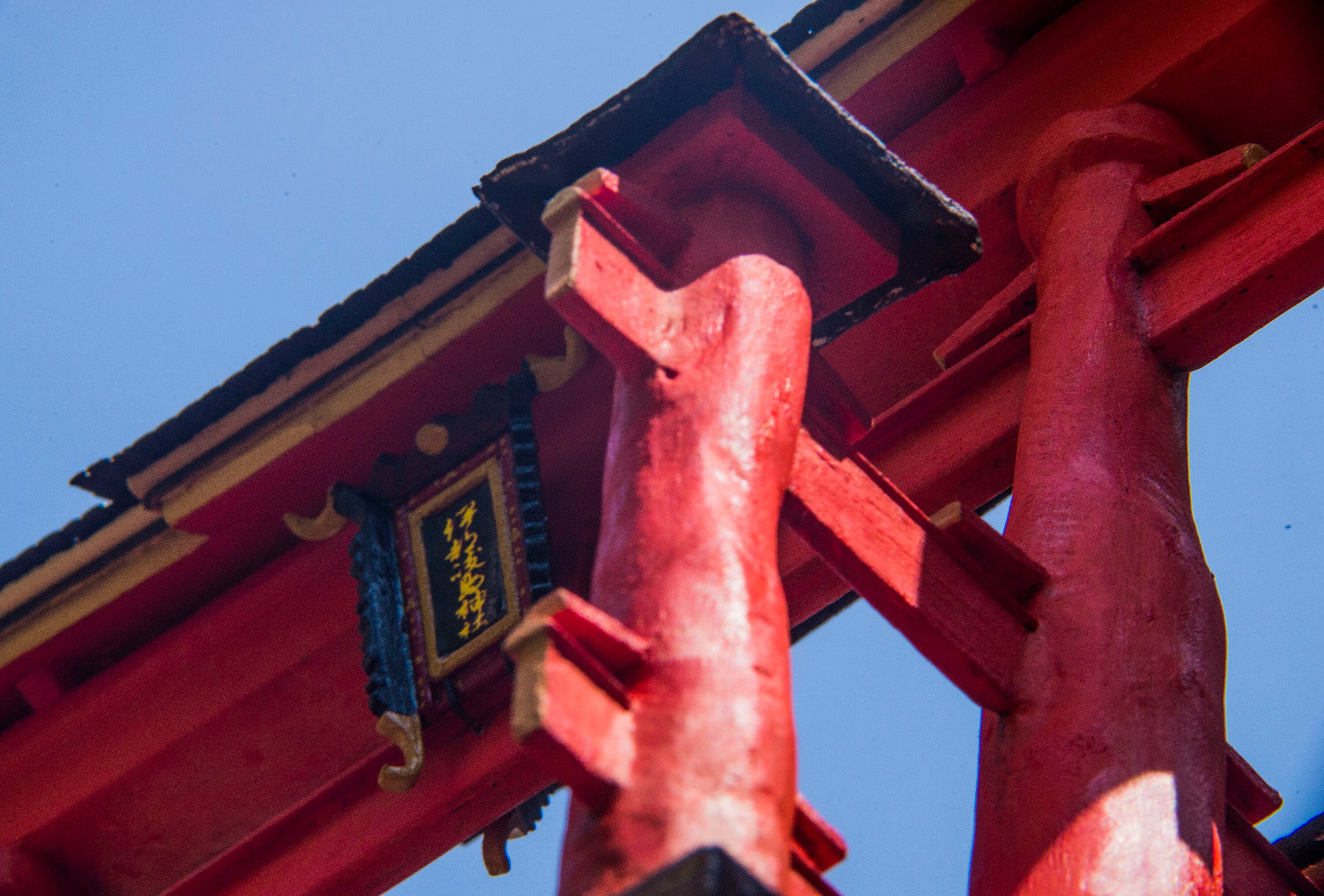 Floating Torii Gate, Japan Red Shrine, Shintoism, Japanese Folk ...