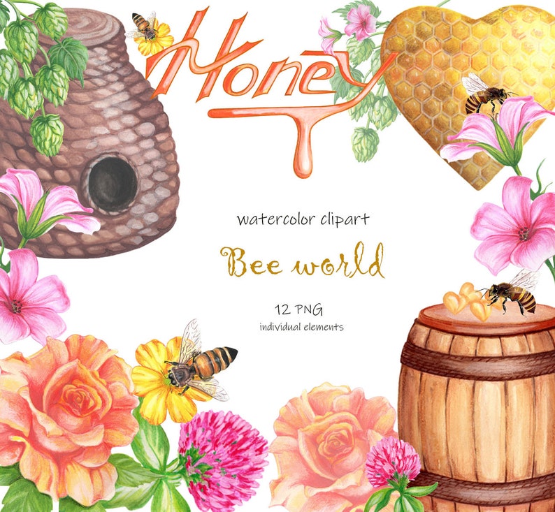 Watercolor Clip Art Bees and Honey. Floral Elements. Painted in ...