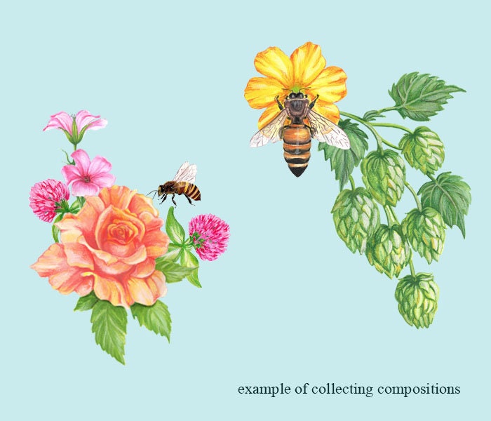 Watercolor Clip Art Bees and Honey. Floral Elements. Painted in ...