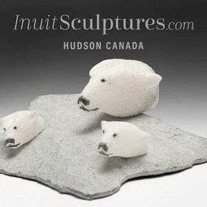 7 Swimming Polar Bears by Mazdak Darehshoripour Snowballs Original ...