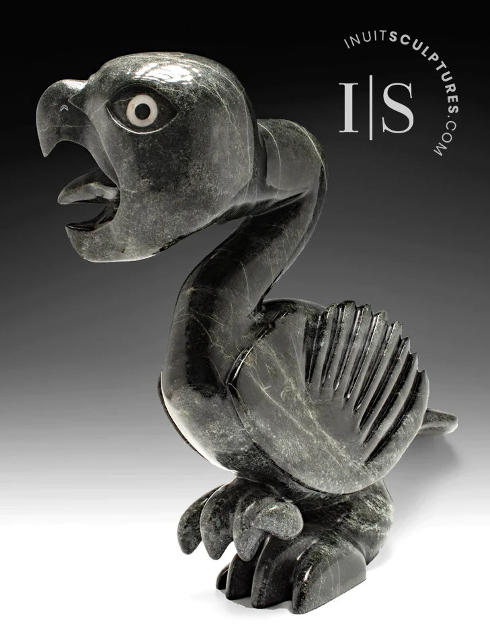 25" SIGNATURE Dancing Bird Spirit by Toonoo Sharky *lionheart* Original ...
