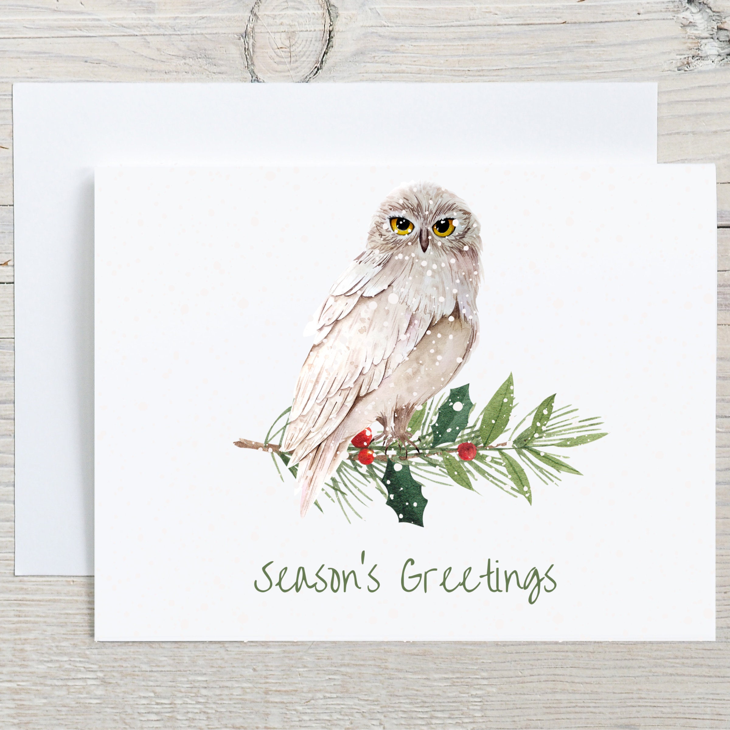Watercolor Christmas Owl Greeting Cards Sets, Holiday Owl, Holly ...