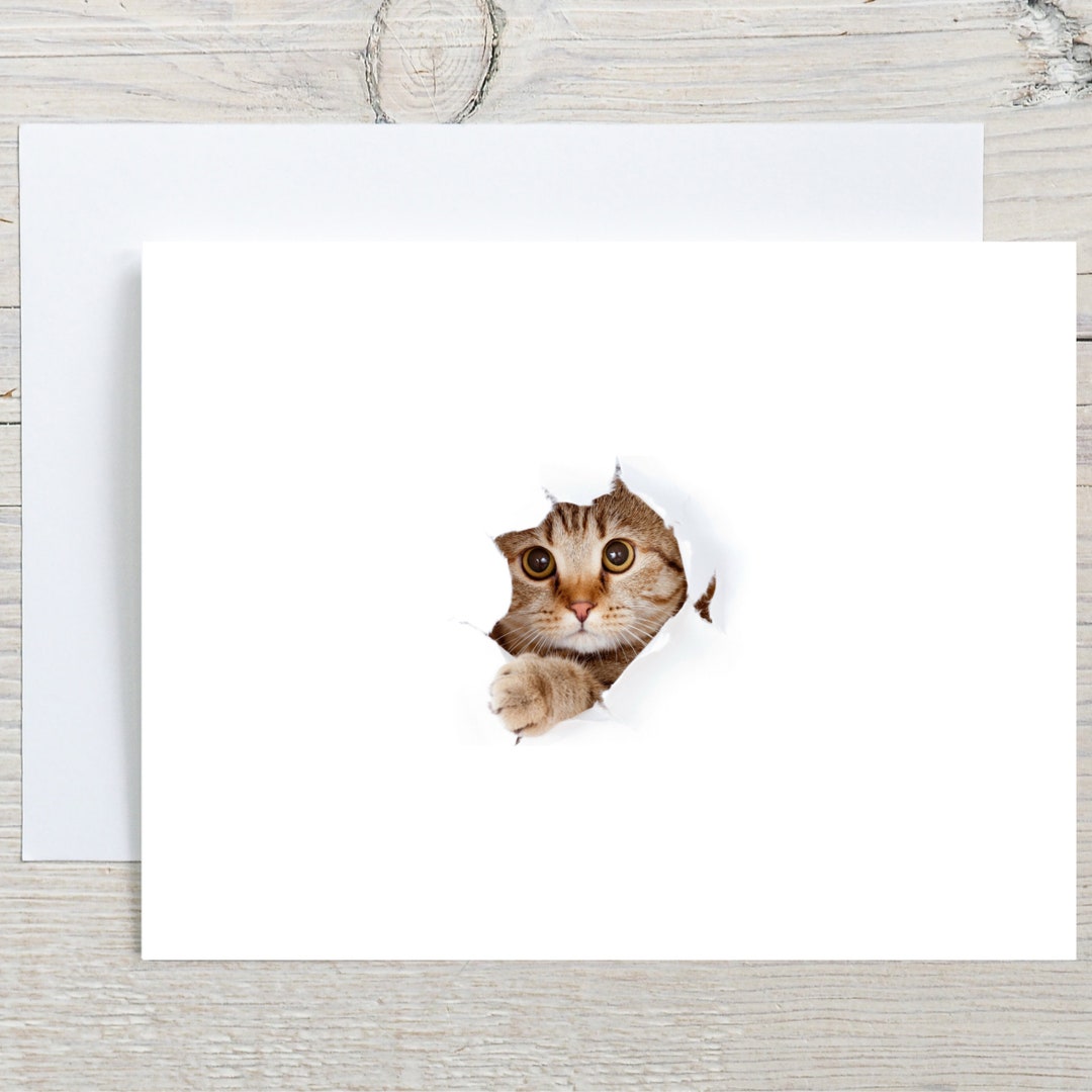 Peeking Kitten Cat Note Cards Sets, Personalized Cat Lover Folded ...