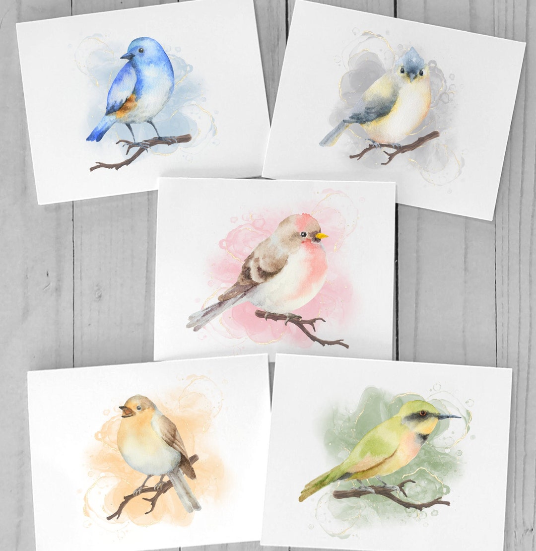 Original Watercolor Birds Note Cards, Set of 10 Assorted Wildlife ...