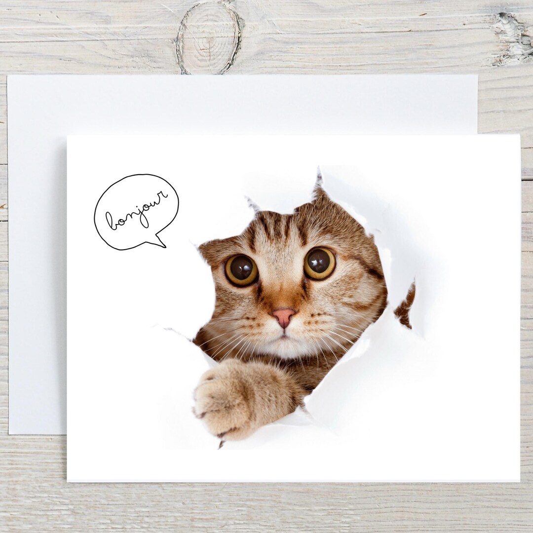 Peeking Cat Note Cards, Personalized Stationery, Kitten Blank Cards ...
