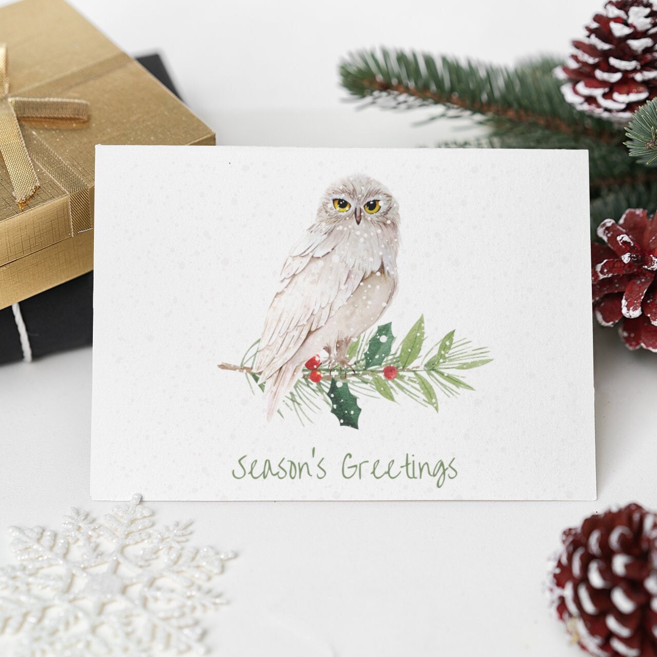 Watercolor Christmas Owl Greeting Cards Sets, Holiday Owl, Holly ...