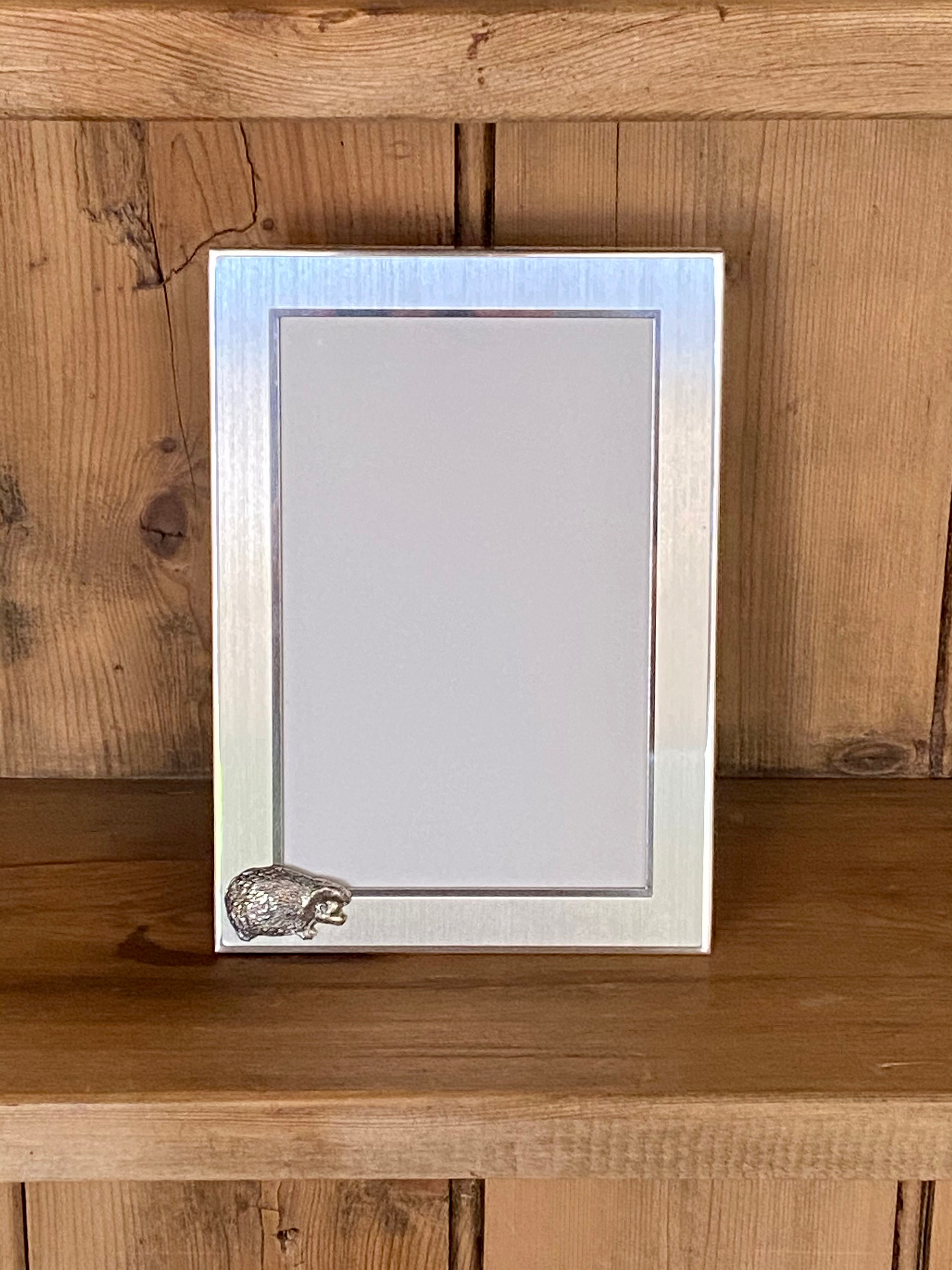 Hedgehog Picture Frame Silver Brushed Chrome 4 x 6 or 5 x 7 - Etsy.de
