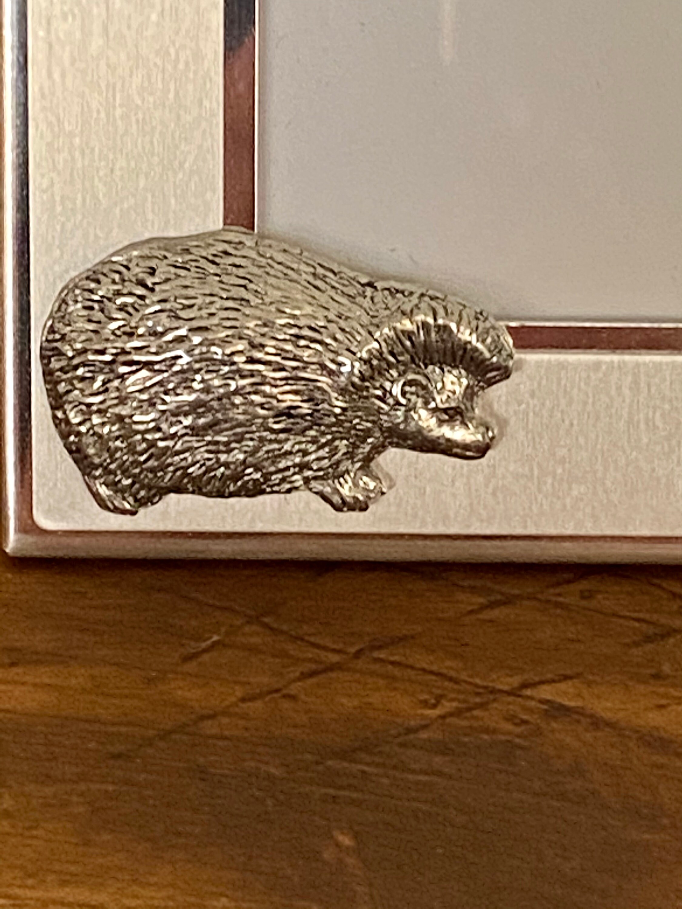 Hedgehog Picture Frame Silver Brushed Chrome 4 x 6 or 5 x 7 - Etsy.de