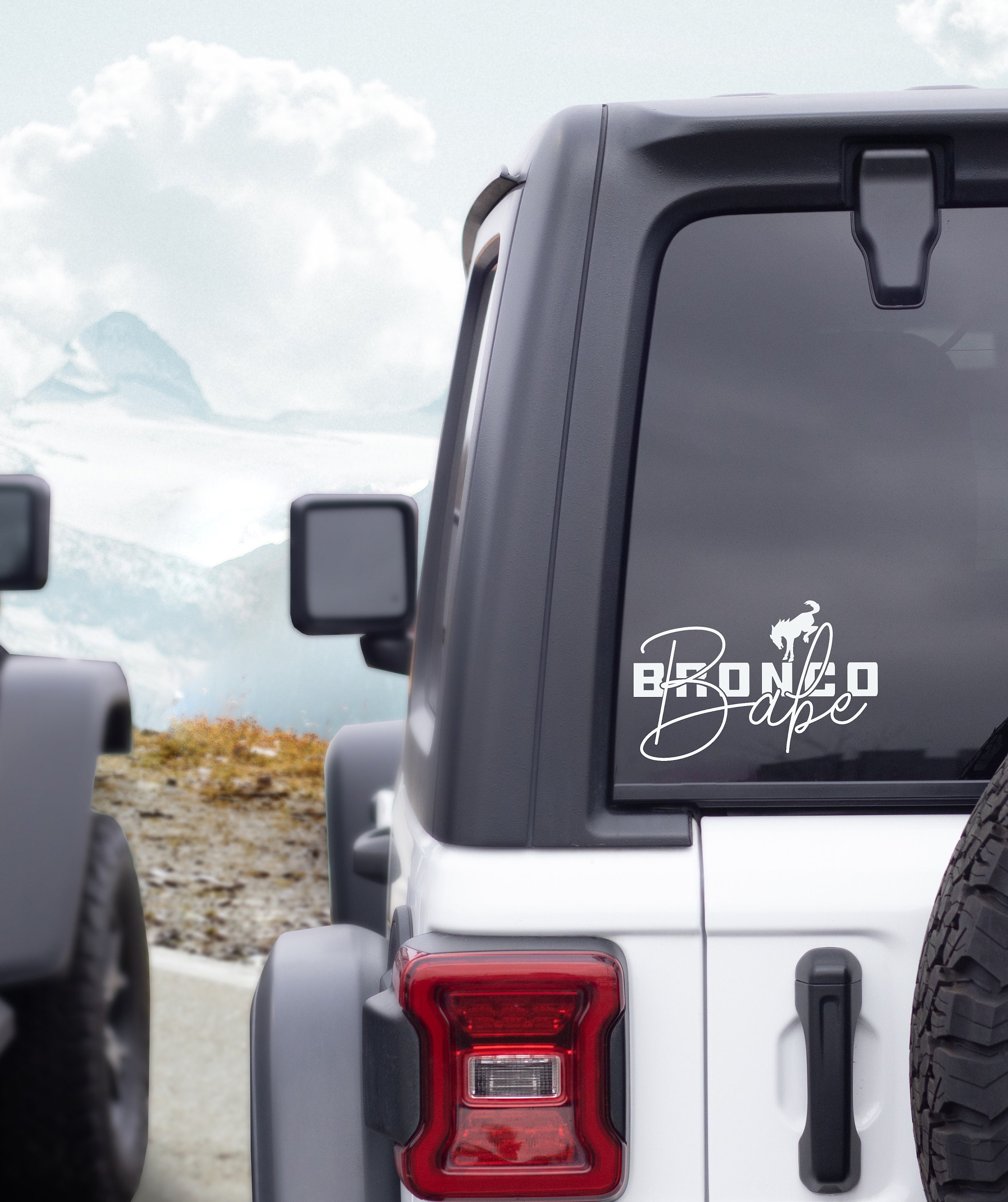 Bronco Babe, Ford Bronco, Bumper Sticker, Gift for Him, Gift for Her ...