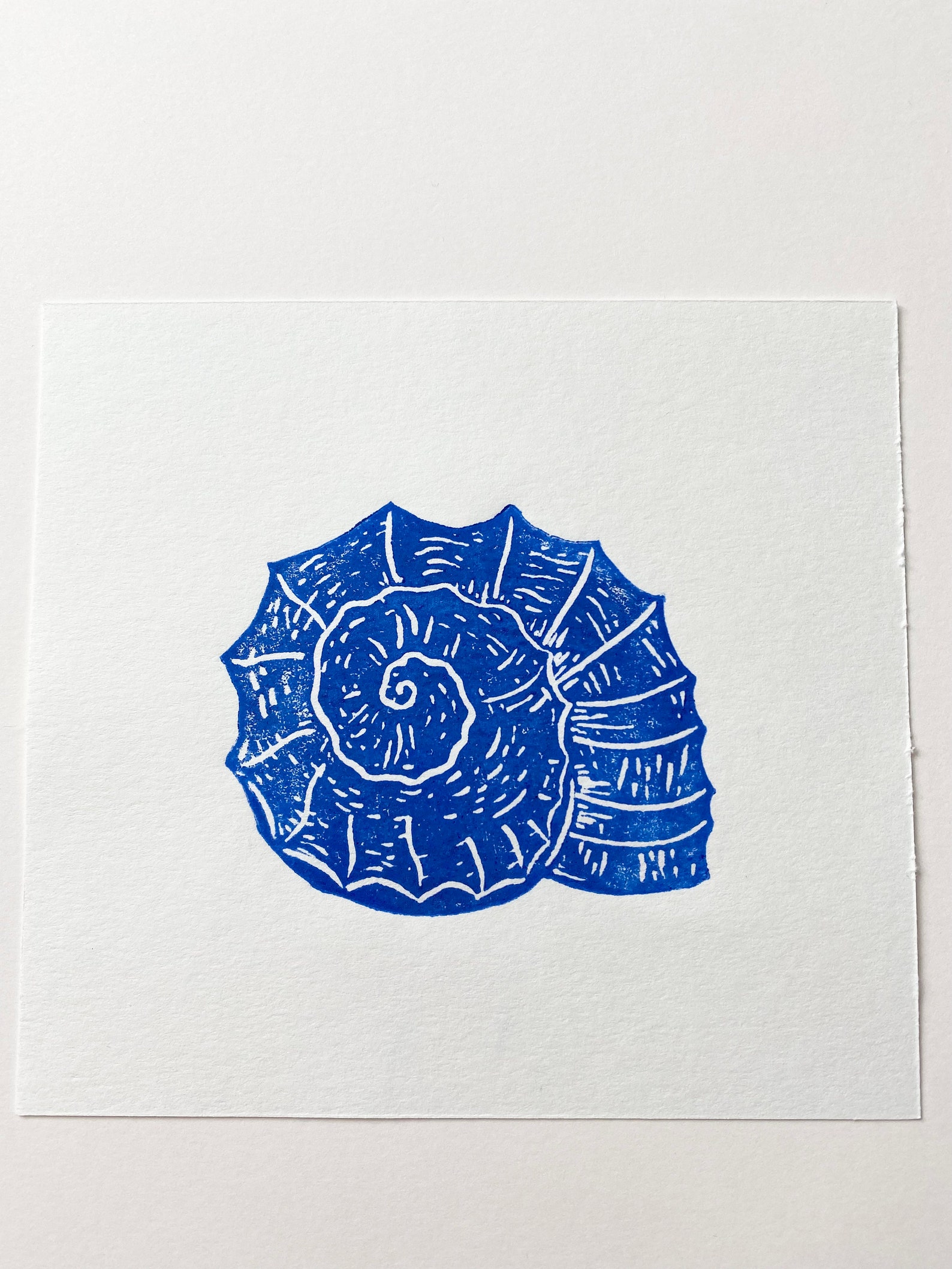 Sea Shell Set of Four Original Handmade Lino Print Wall Art Nautical ...