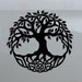 Acacia Tree Vinyl Decal (permanent Adhesive, Die Cut) - Etsy
