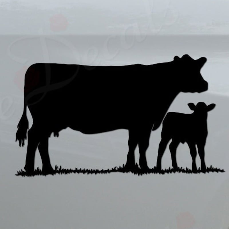 Cow Decal - Etsy