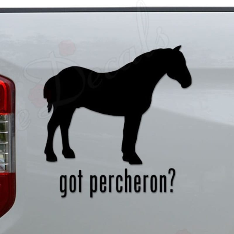 Percheron - Etsy