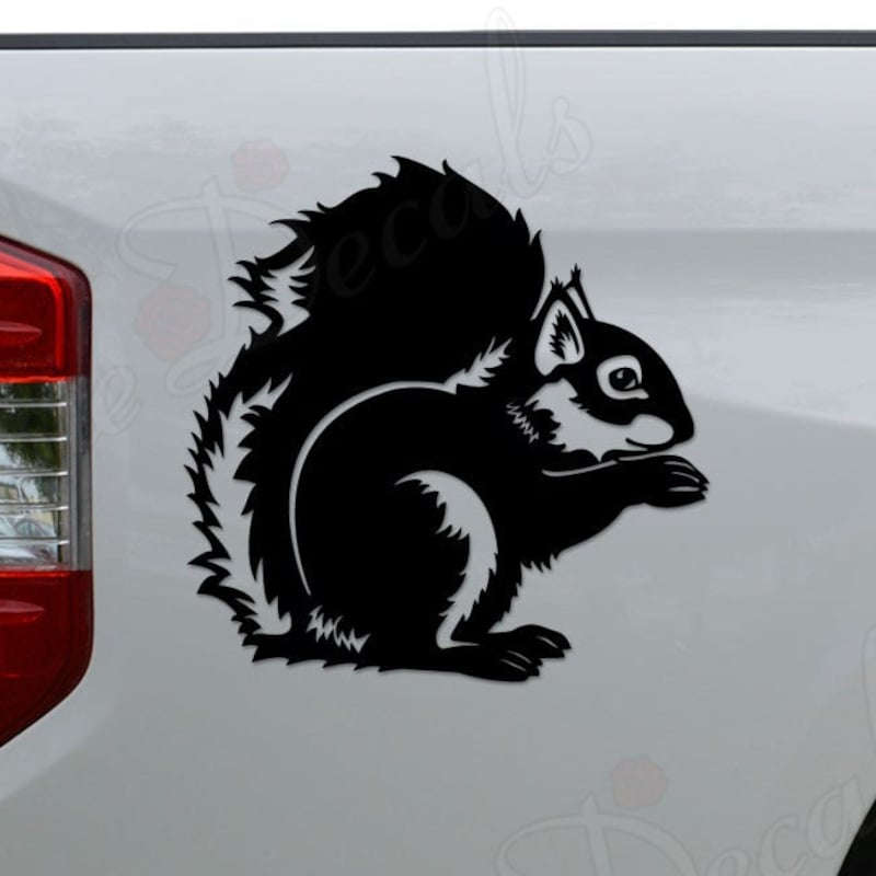Wall Stickers Squirrel - Etsy