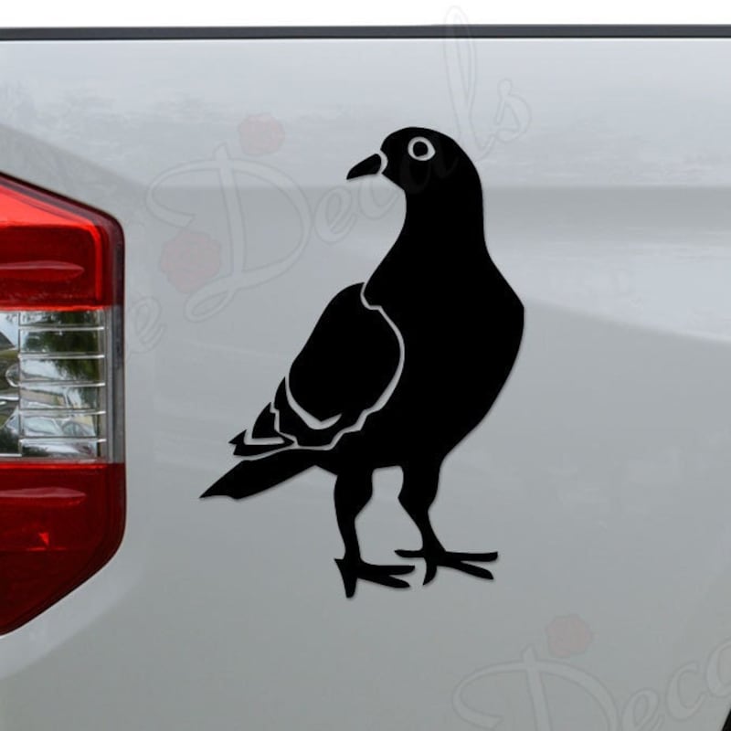 Pigeon Decal Car Sticker - Etsy