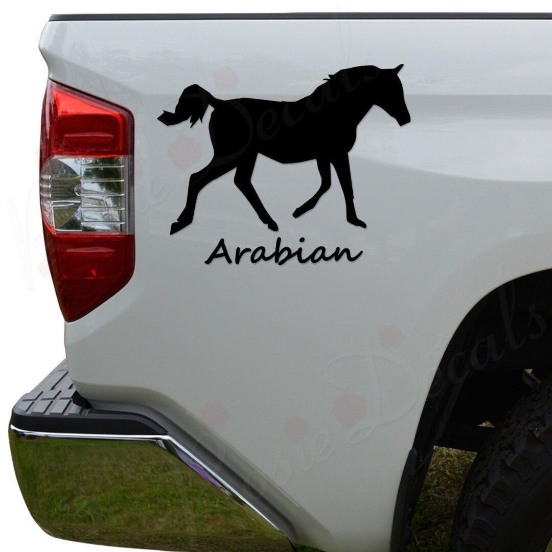 Arabian Horse Arab Araber Racetrack Farm Ranch Die Cut Vinyl Decal ...