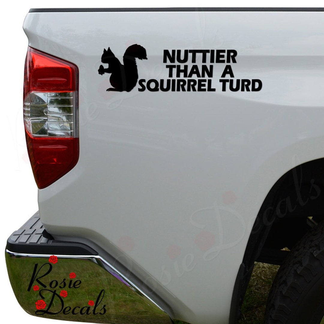 Nuttier Than A Squirrel Turd Acorn Die Cut Vinyl Decal Sticker for Car ...