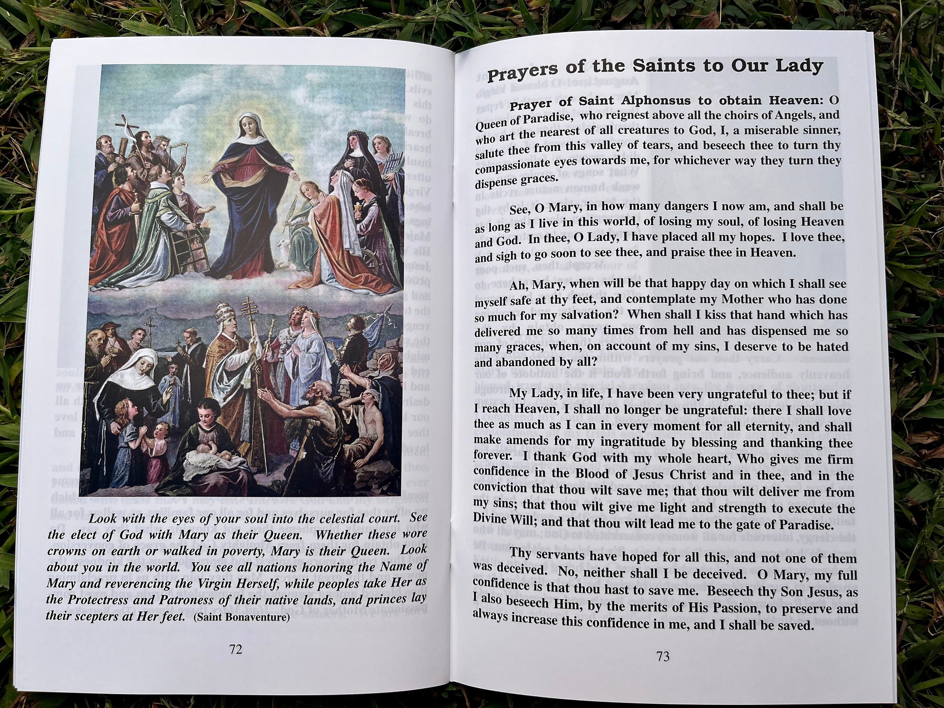 Marian Devotional Book, Catholic, Mary Sweet Hope of My Soul, Blessed ...