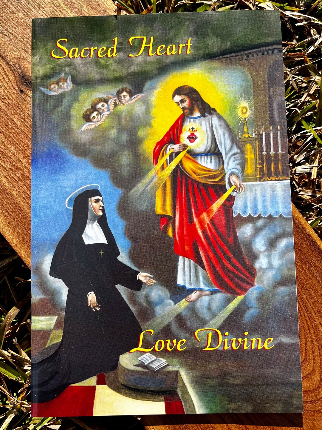 Sacred Heart, Love Divine Catholic Devotional Book, Sacred Heart of ...
