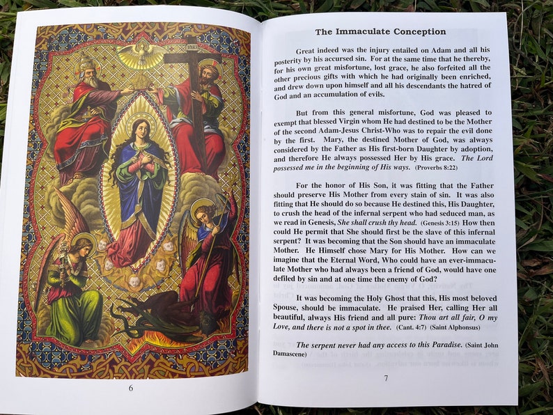 Marian Devotional Book, Catholic, Mary Sweet Hope of My Soul, Blessed ...