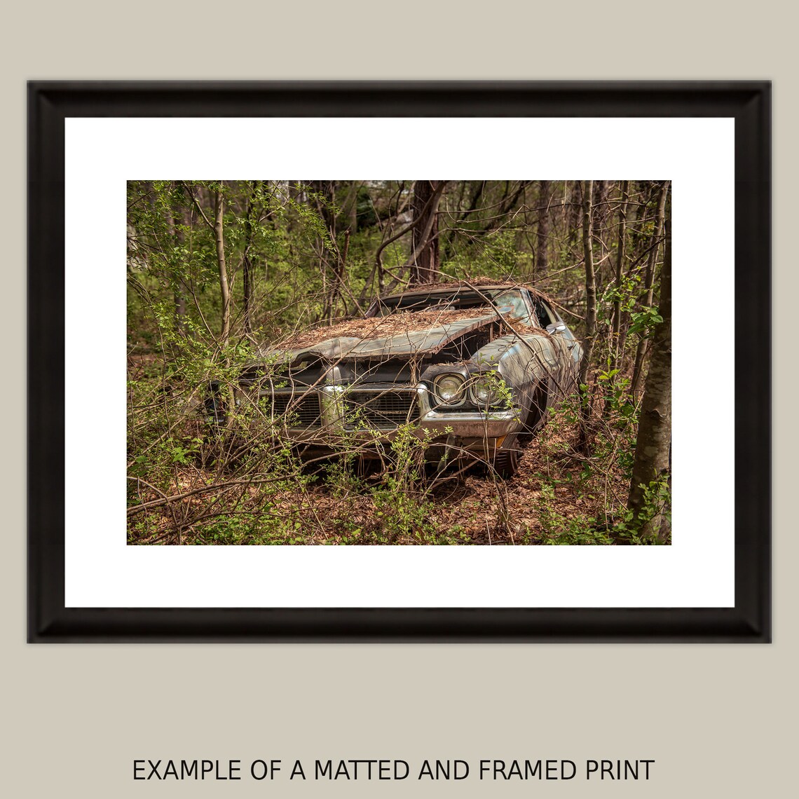 Retro Antique Classic Rusty Vintage 70s Pontiac Lemans Found in the ...