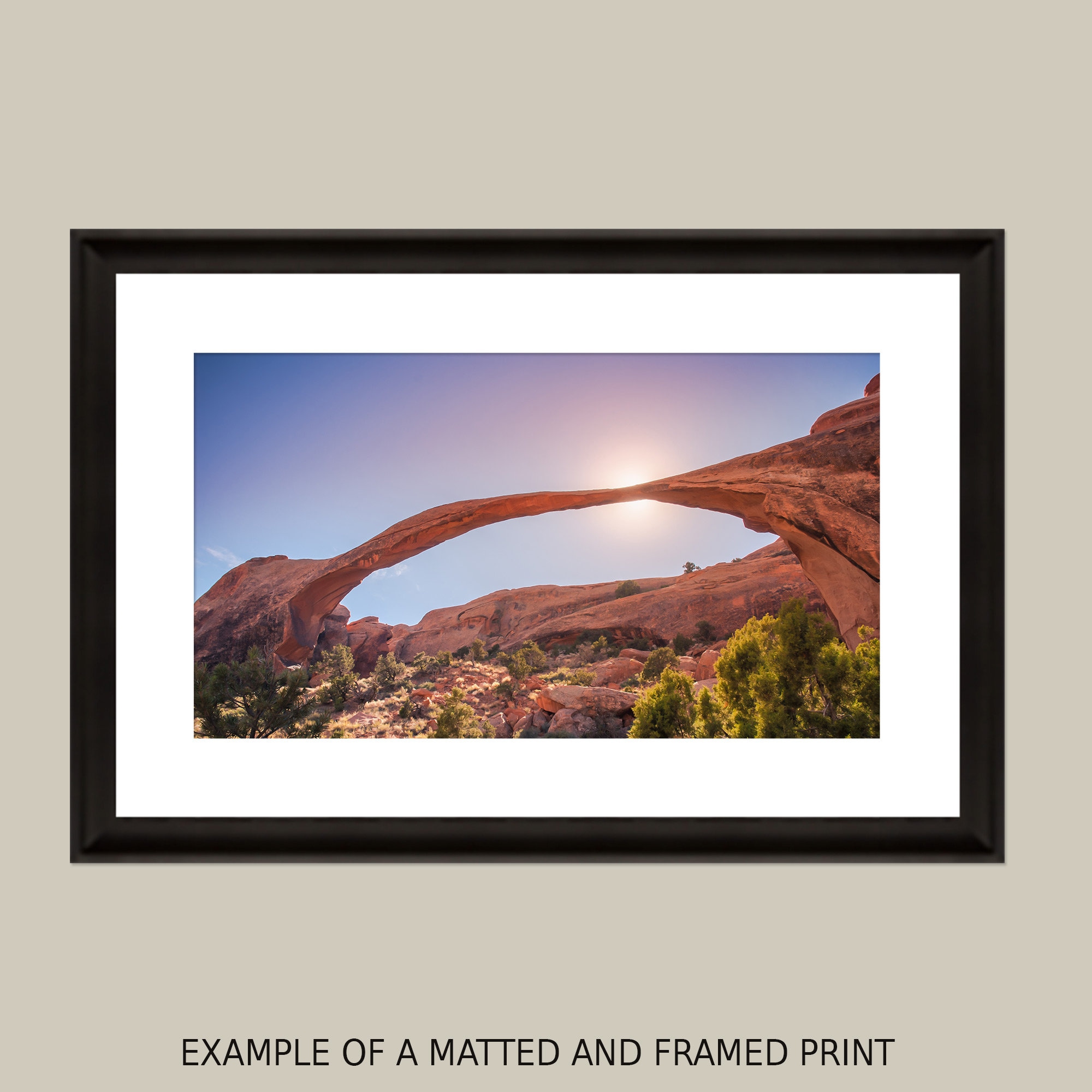 Landscape Arch Collapse