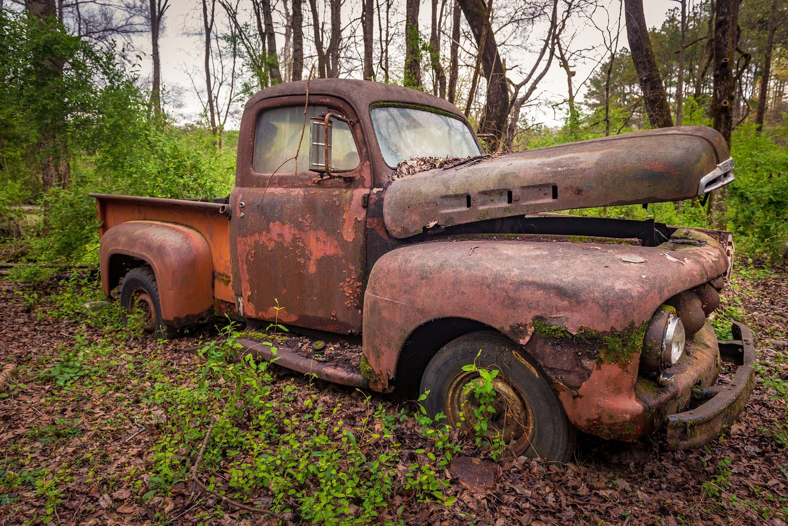 Rusty Vintage Abandoned Ford Truck Resting in the Woods in the ...