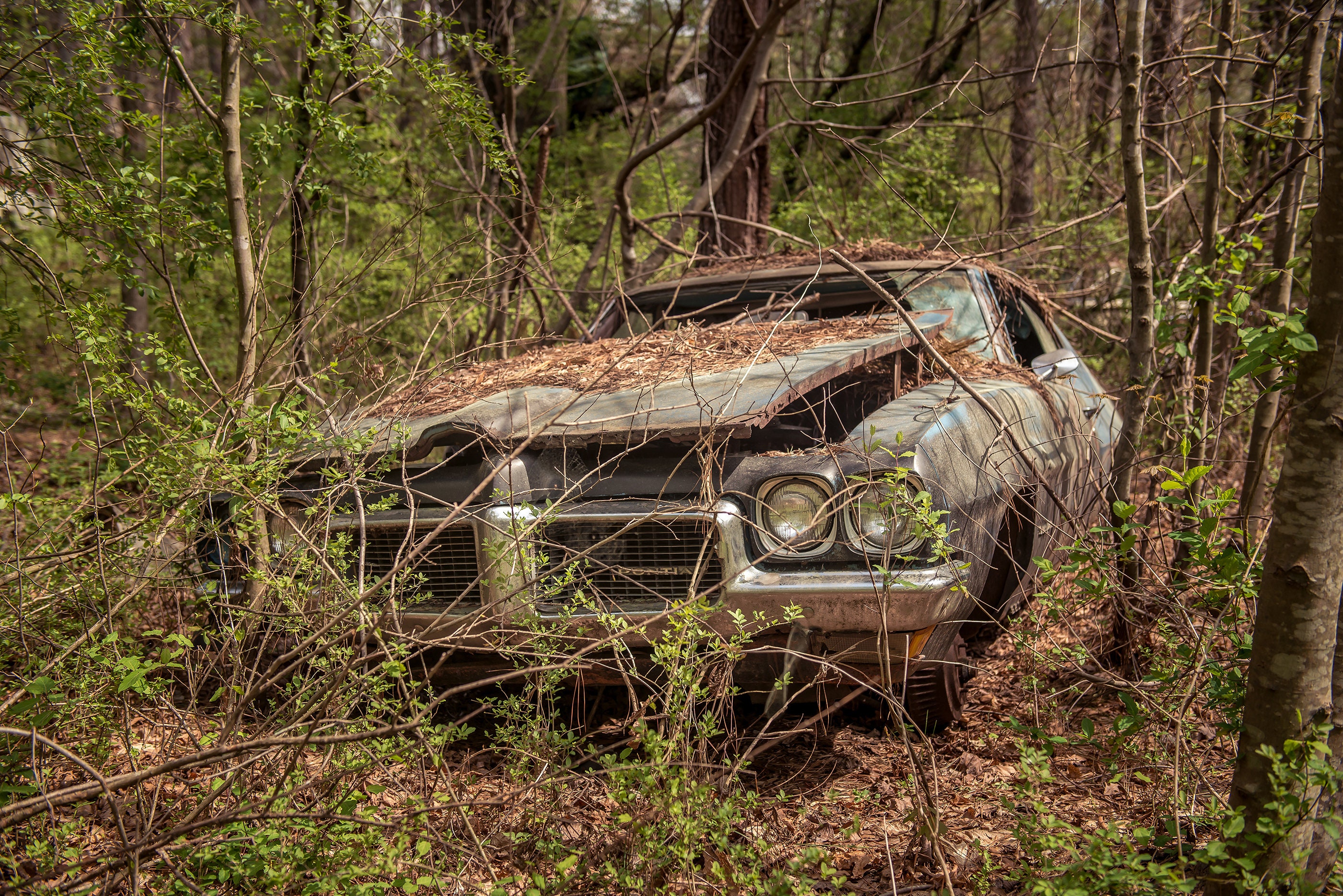 Retro Antique Classic Rusty Vintage 70s Pontiac Lemans Found in the ...